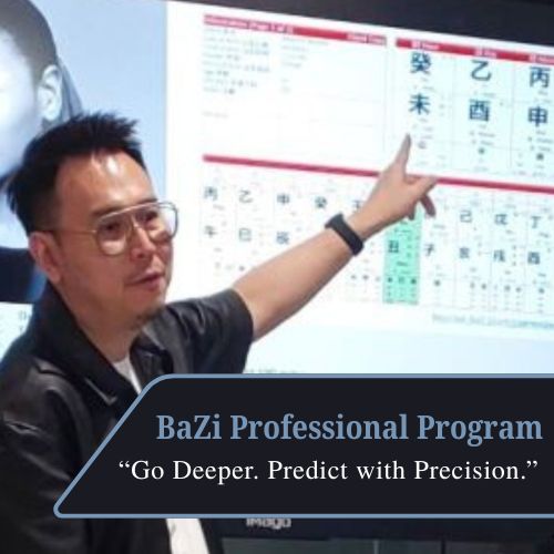BaZi Professional Program | Deepen Your Chart Analysis Skills